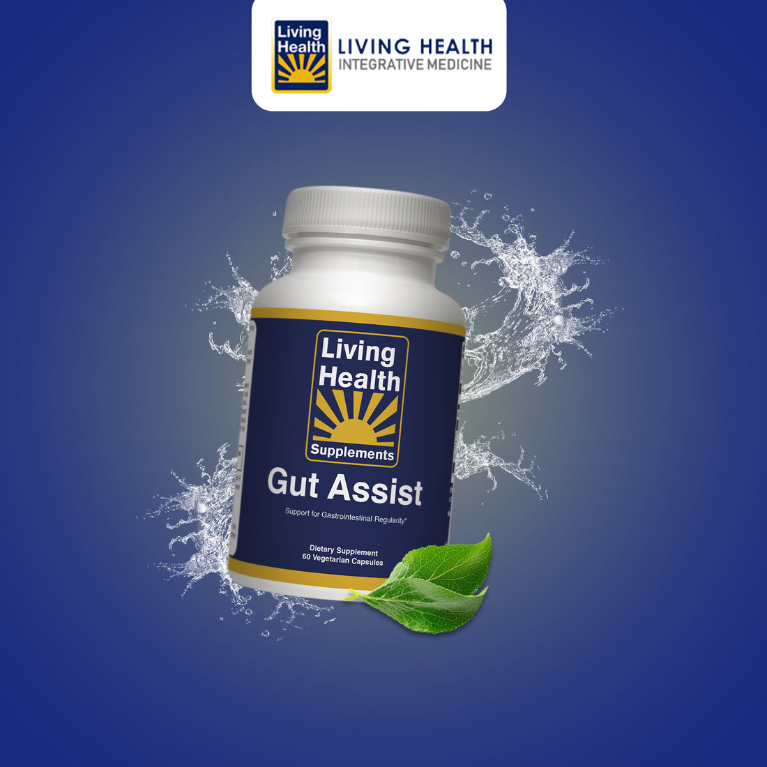 Gut Assist – Living Health Market